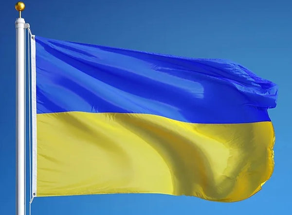 Show your support for Ukraine with this budget-friendly imported flag ...