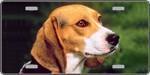 Beagle Dog License PlateSize: 6 inches X 12 inches. Fits all cars and ...