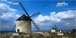 Dutch Windmill License PlateSize: 6 inches X 12 inches. Fits all cars ...