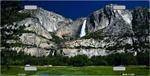 Yosemite Park License Plate – US Patriot Colors